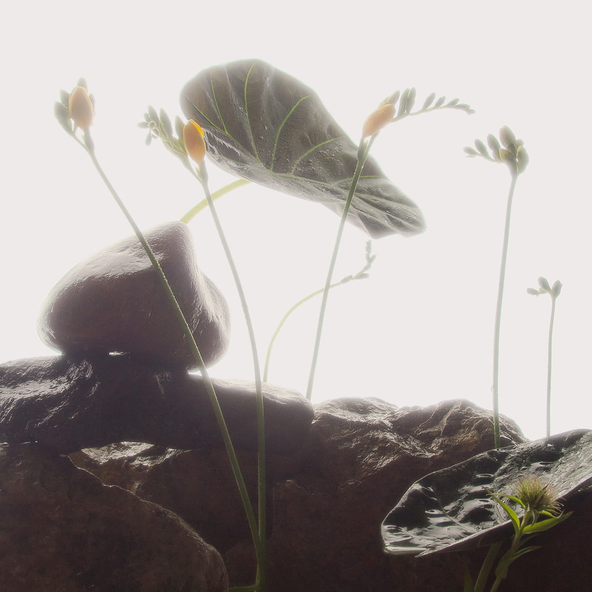 Introducing Spring / Summer 2023